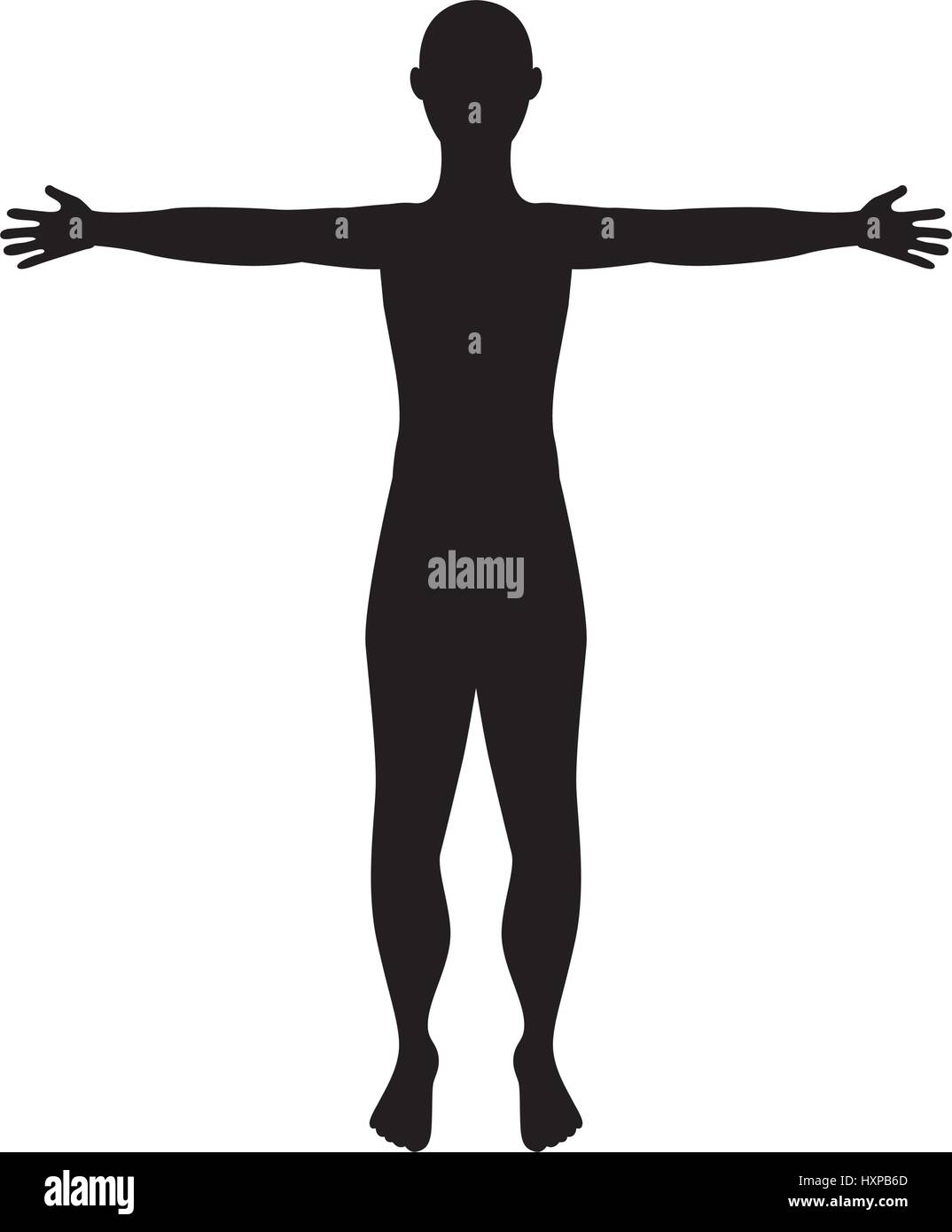 man anatomy silhouette isolated icon vector illustration design Stock ...