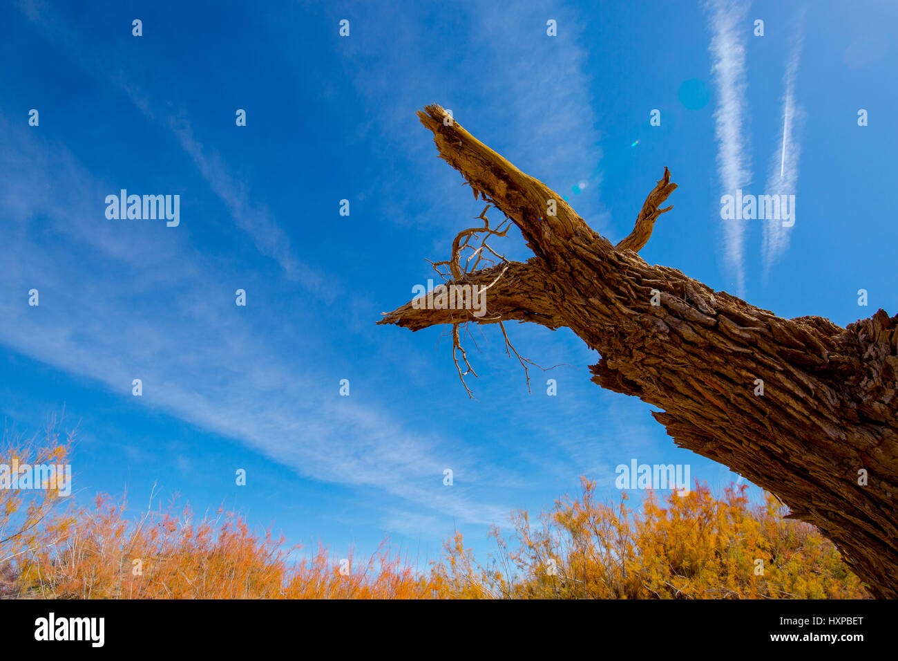 Asia china hami hi-res stock photography and images - Alamy