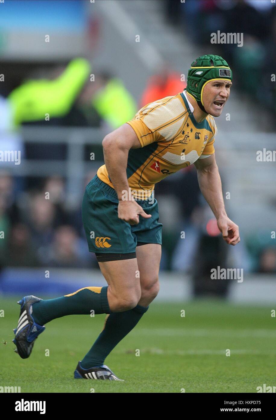 Matt giteau hi-res stock photography and images - Alamy