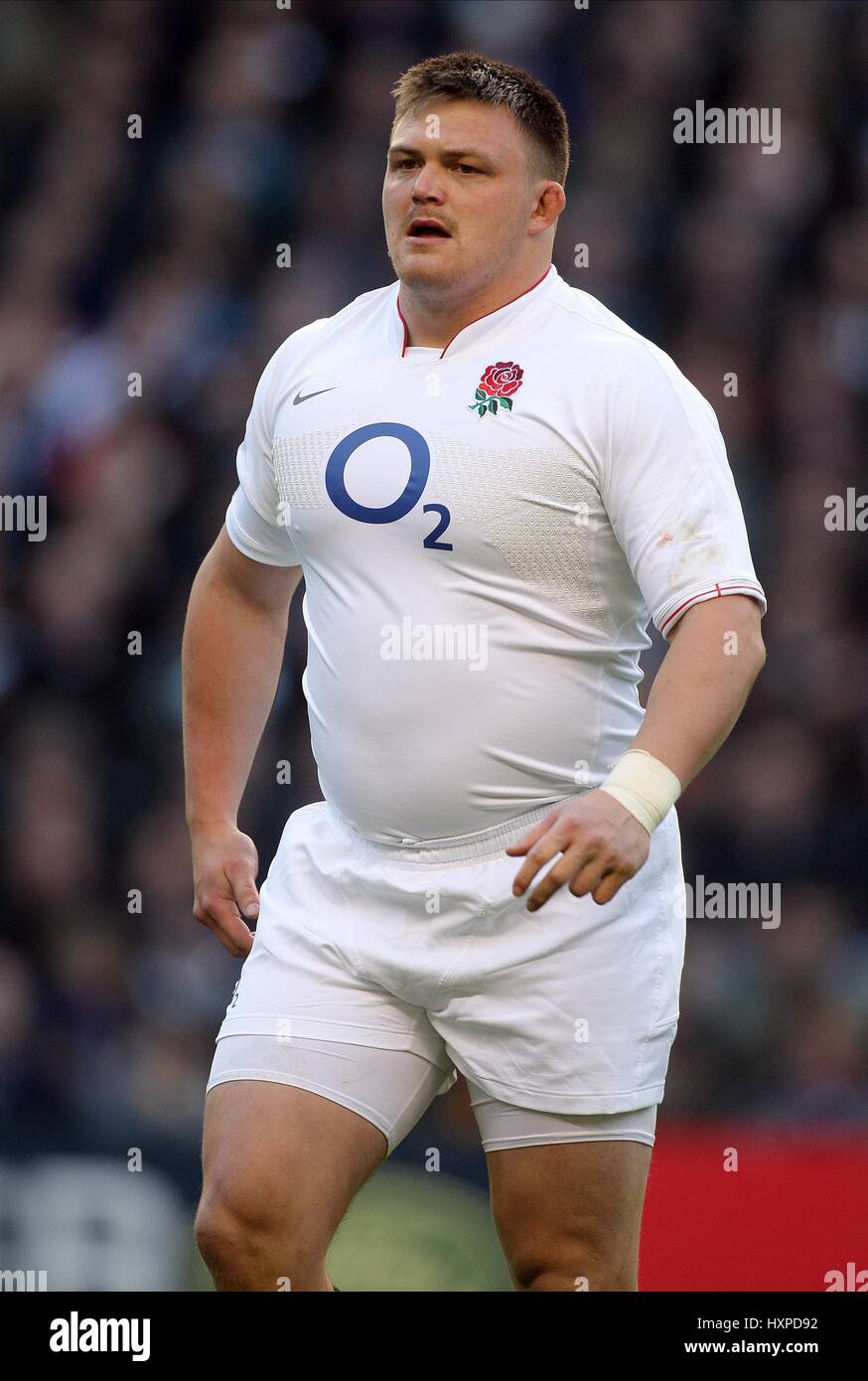 David wilson england bath rugby hi-res stock photography and images - Alamy