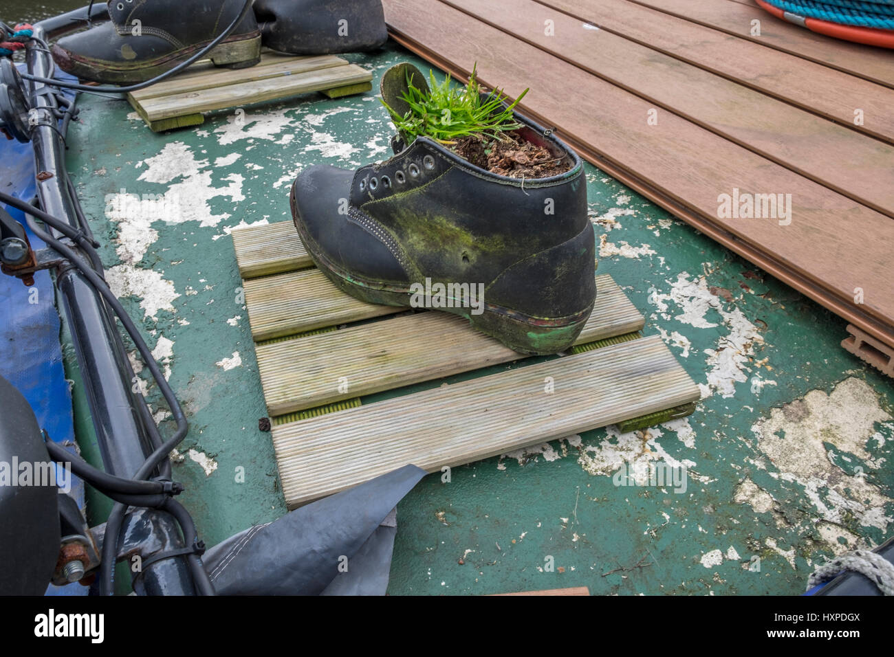 A clog residing on a canal boat with flowers or weeds growing out Stock ...