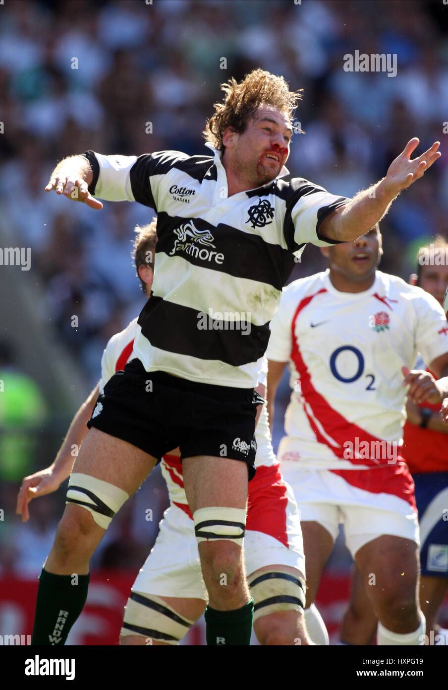 Rocky elsom hi-res stock photography and images - Alamy