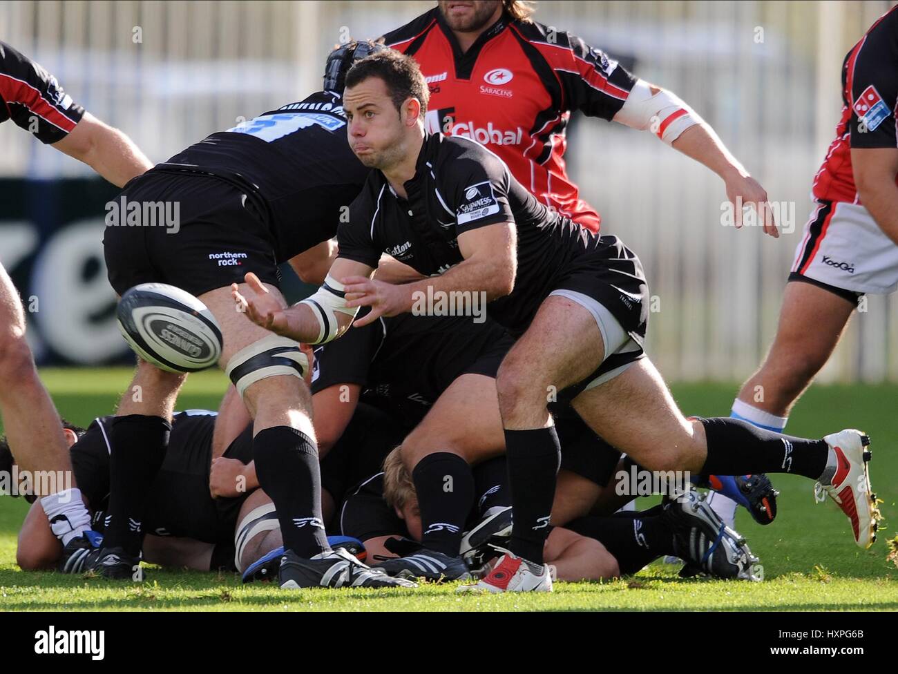 Newcastle falcons rugby hi-res stock photography and images - Alamy