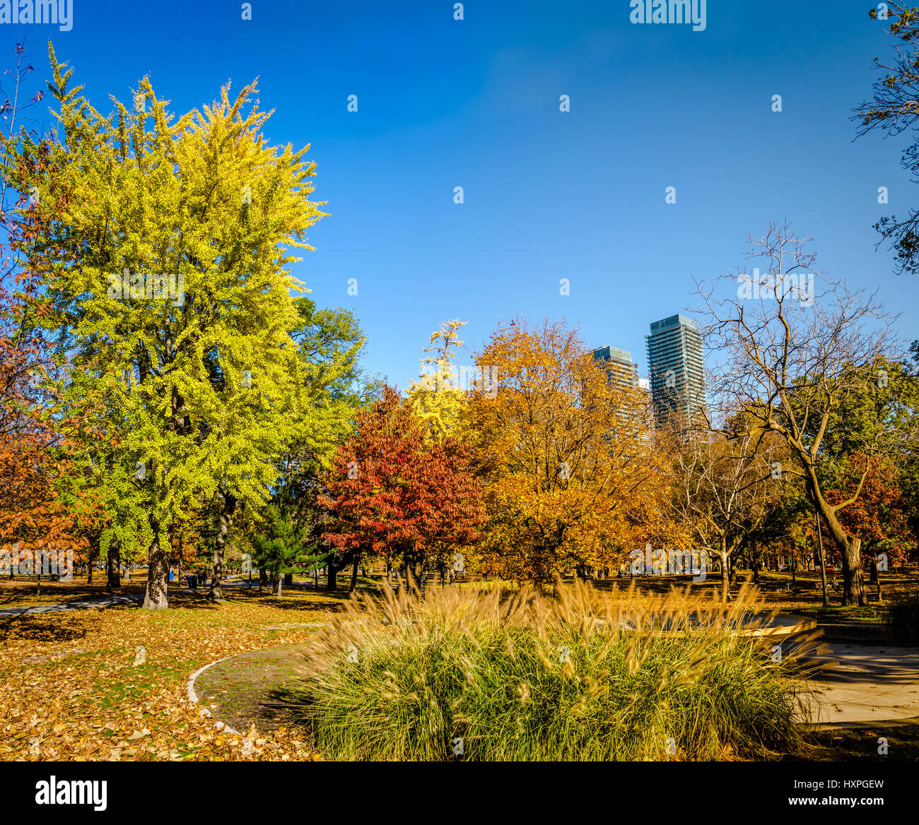 Fall foliage canada hi-res stock photography and images - Alamy