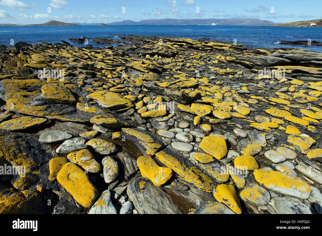 Coastal scenery - Falkland Islands, Kuestenlandschaft - Falkland Inseln ...