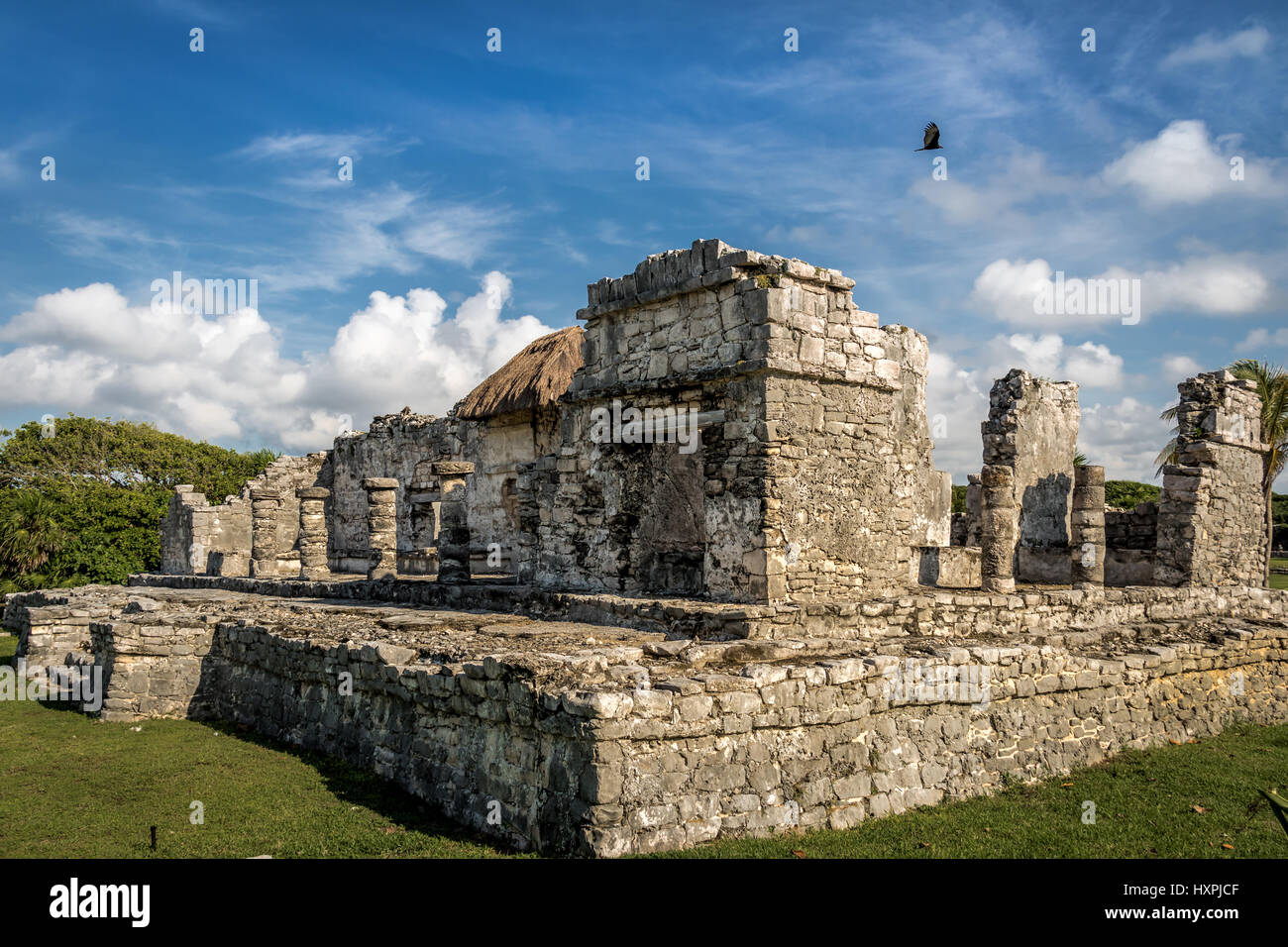 Mayan Palace - Ruins of Tulum, Mexico Stock Photo - Alamy