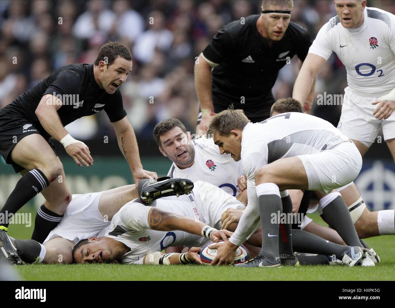 Toby lawes hi-res stock photography and images - Alamy