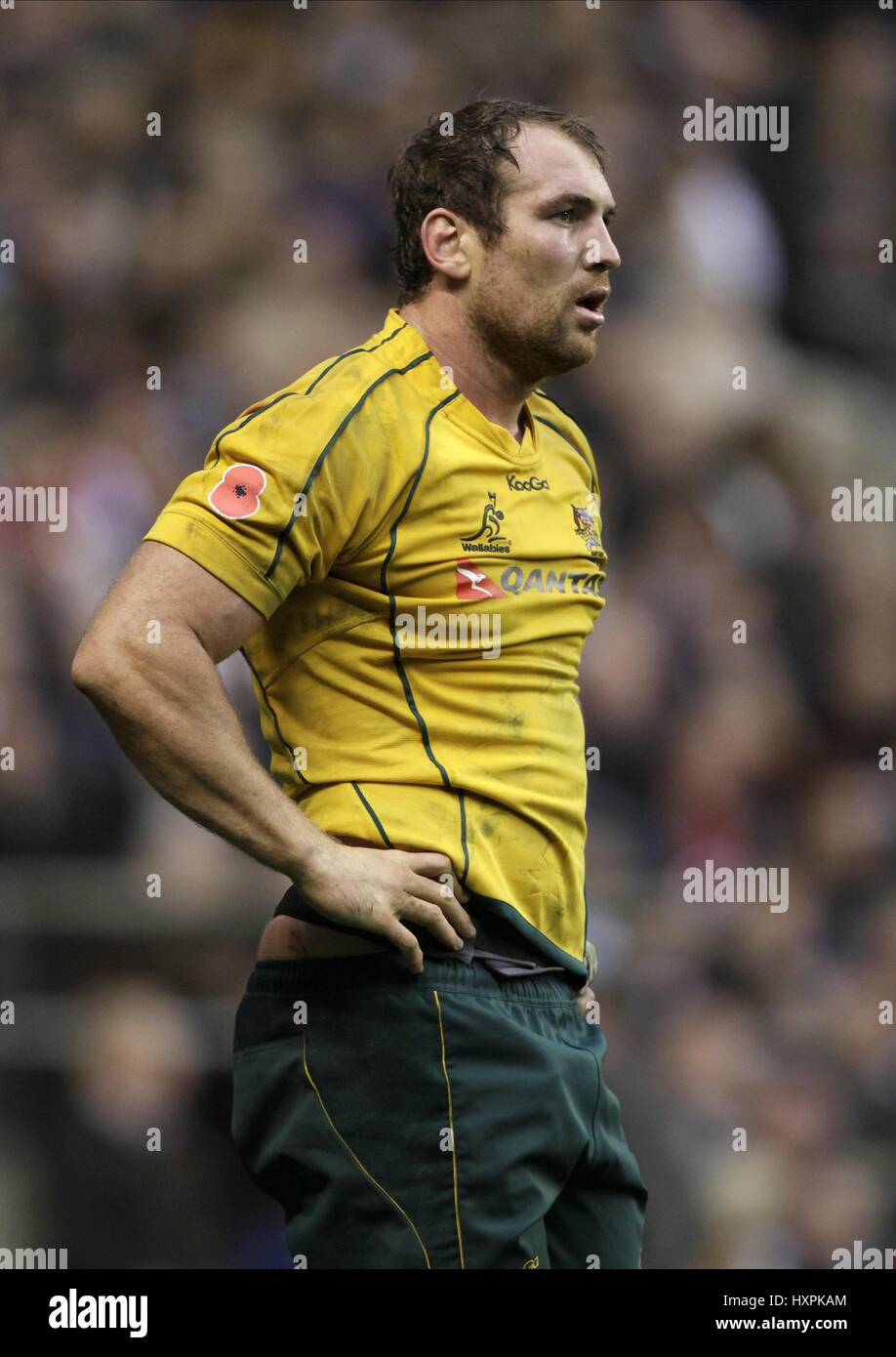ROCKY ELSOM AUSTRALIA RU AUSTRALIA RU TWICKENHAM MIDDLESEX ENGLAND 13 ...