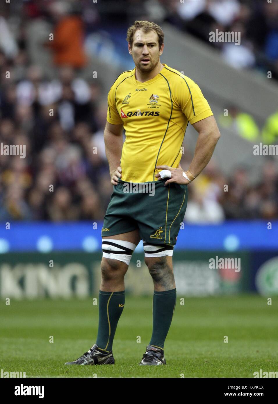 2010 rocky elsom hi-res stock photography and images - Alamy