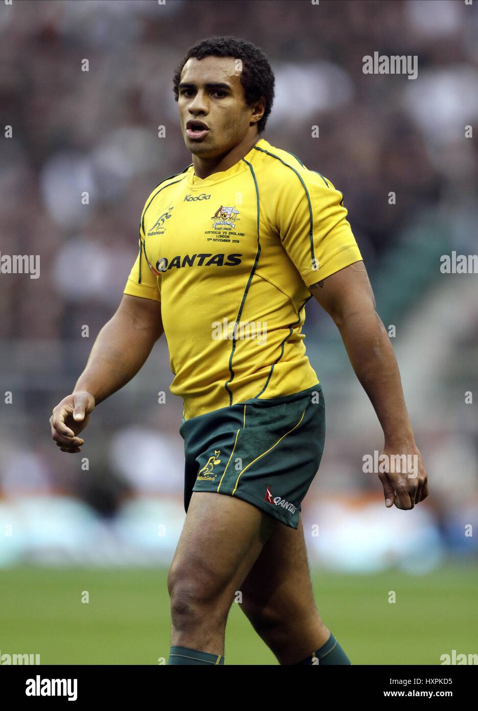 Will genia hi-res stock photography and images - Alamy