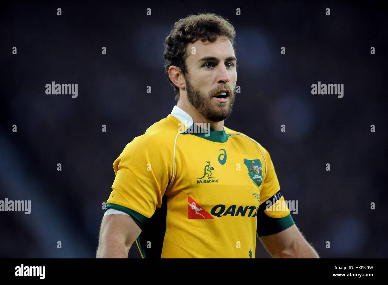 Nic white australia hi-res stock photography and images - Alamy