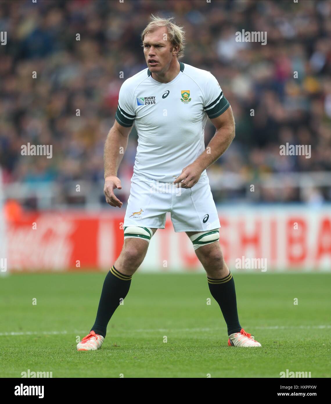 Schalk burger hi-res stock photography and images - Alamy