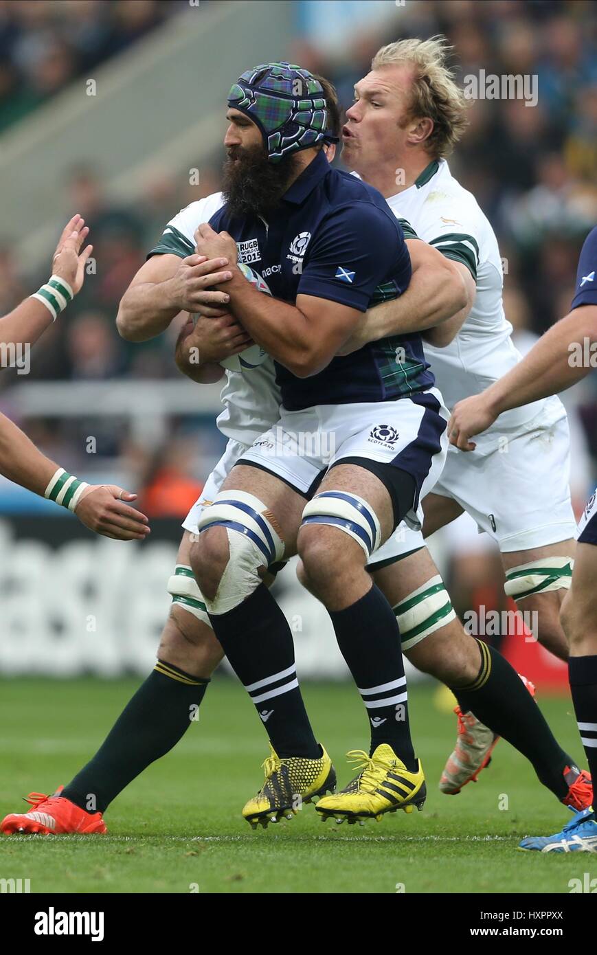 SCHALK BURGER JOSH STRAUSS SOUTH AFRICA V SCOTLAND SOUTH AFRICA V ...