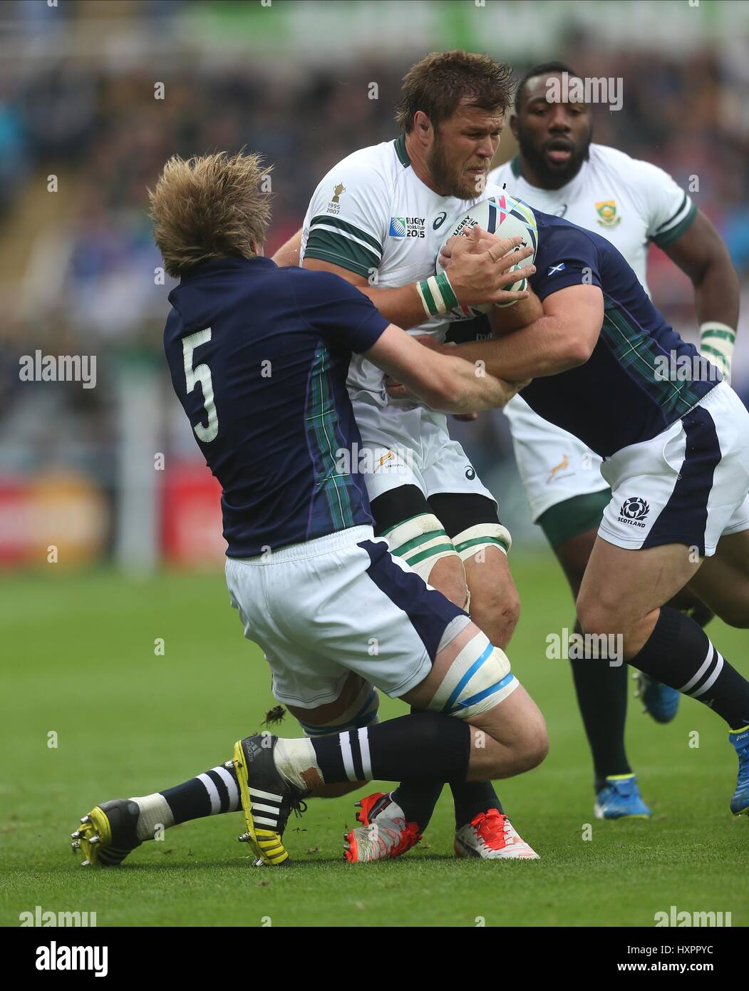 Jonny gray rugby hi-res stock photography and images - Alamy