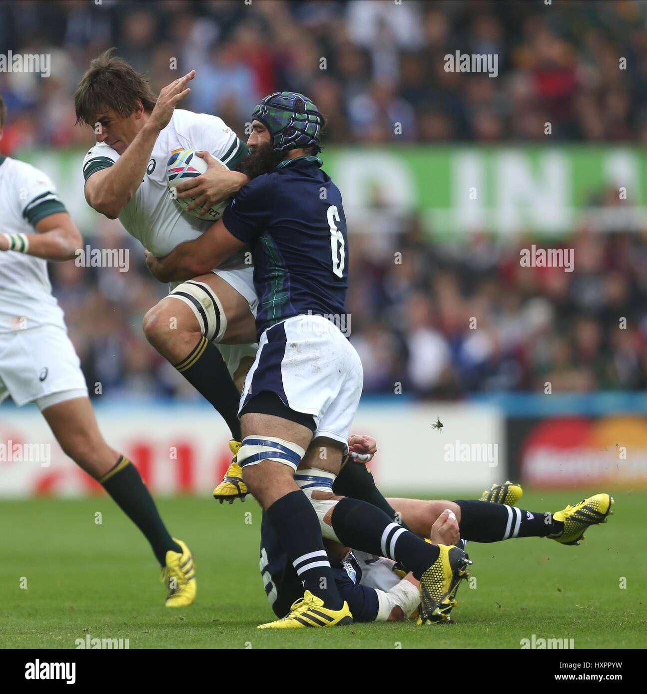 EBEN ETZEBETH JOSH STRAUSS SOUTH AFRICA V SCOTLAND SOUTH AFRICA V ...