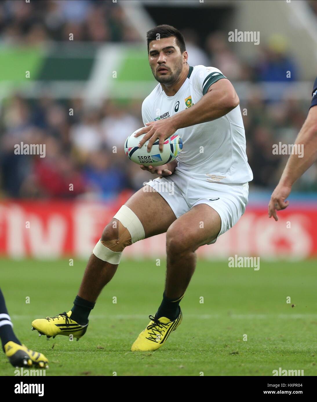 DAMIAN DE ALLENDE SOUTH AFRICA SOUTH AFRICA ST JAMES PARK NEWCASTLE ...