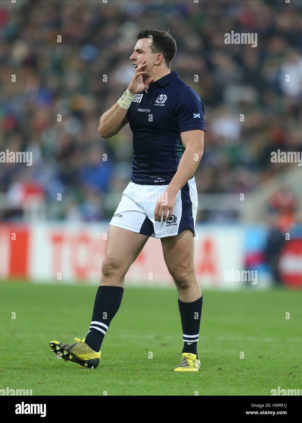 Matt scott hi-res stock photography and images - Alamy