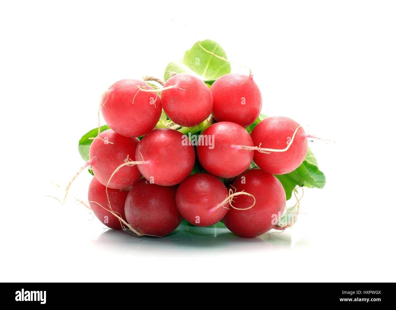 Bunch of Red Radish, Raphanus sativus Stock Photo - Alamy