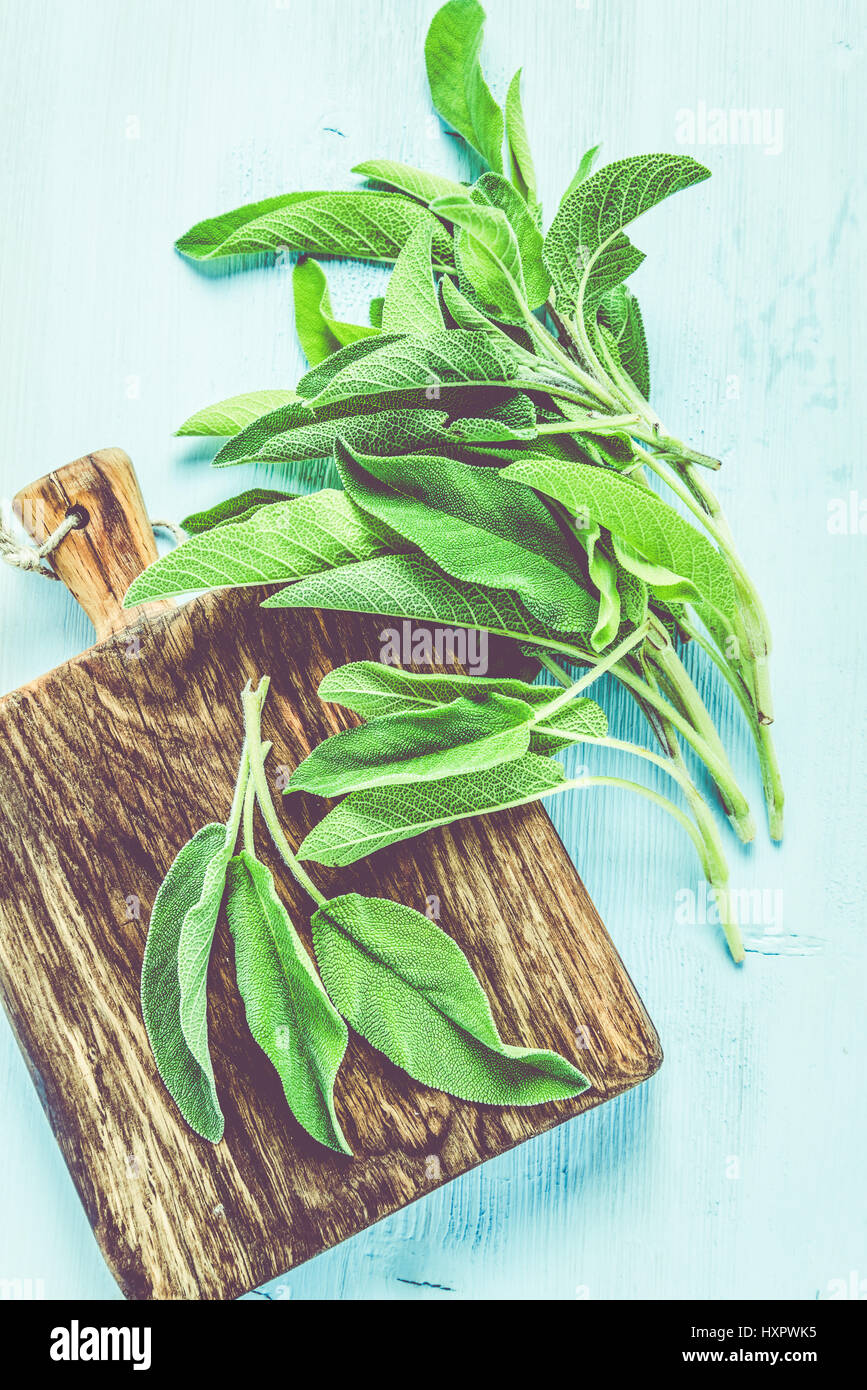 Fresh sage leaves herb on blue painted pastel wooden table, lay flat ...