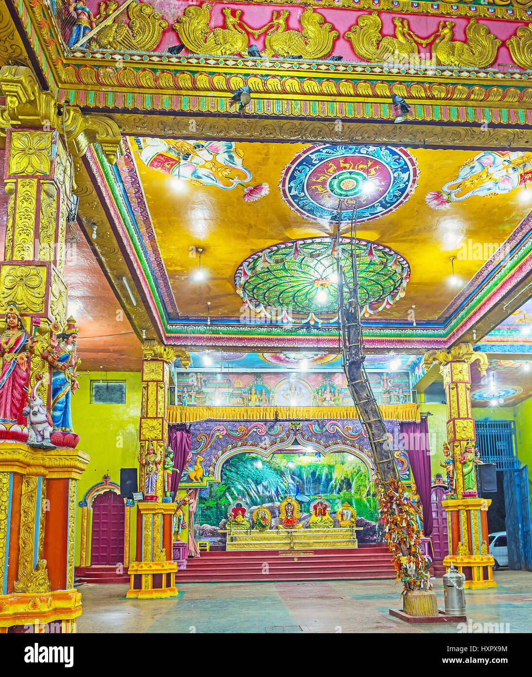 MATALE, SRI LANKA - NOVEMBER 27, 2016: The trunk of the dried tree in ...