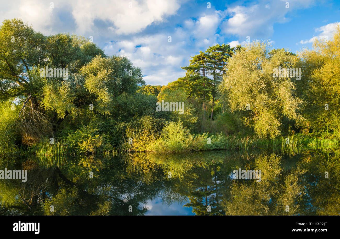 The River Nene near Peterborough, Cambridgeshire, on a still October ...