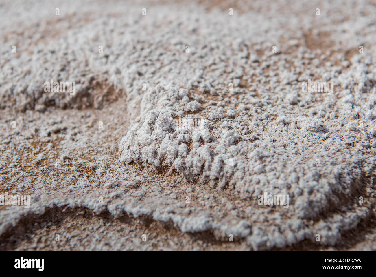 Zion rocks close hi-res stock photography and images - Alamy