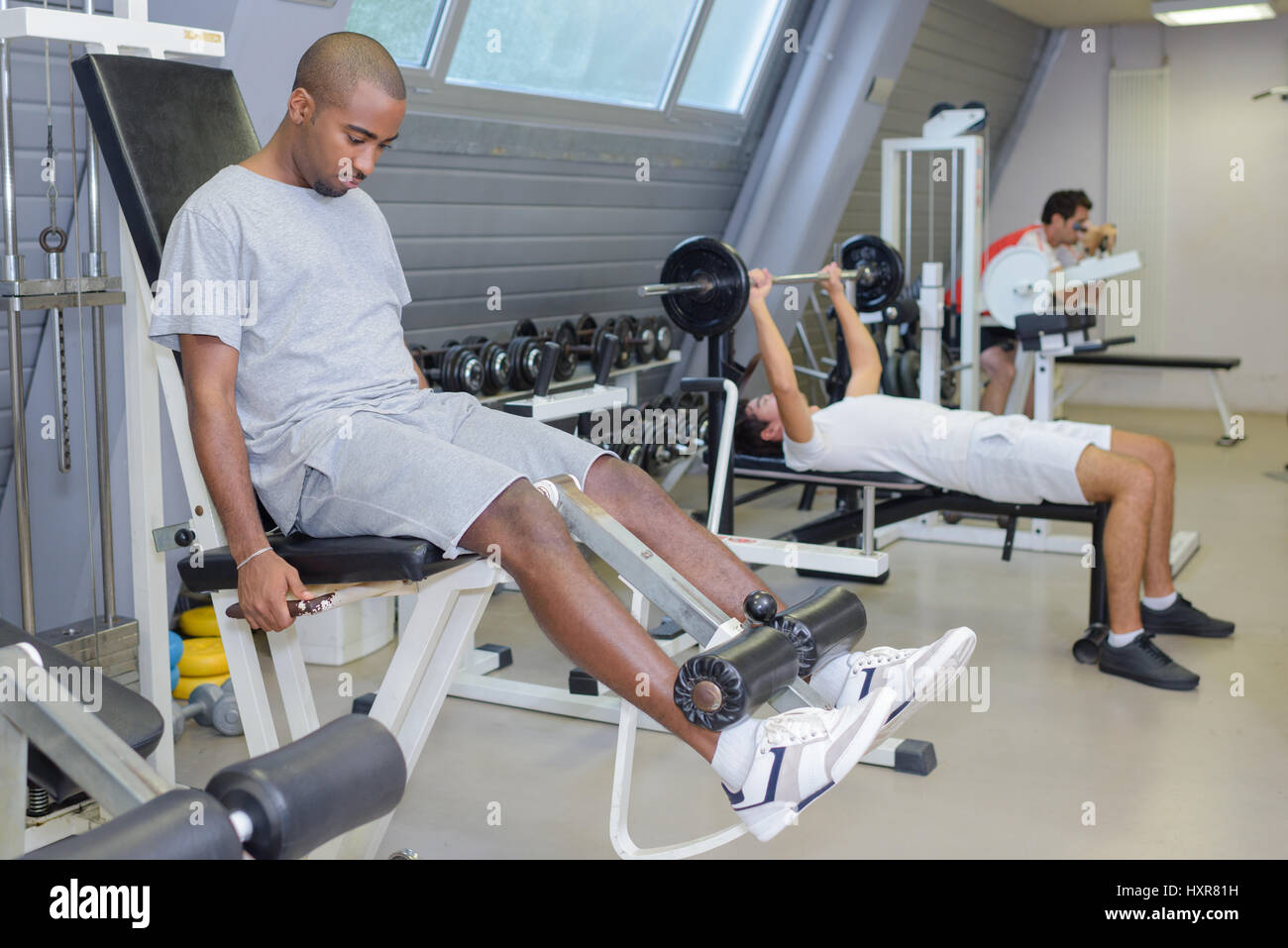 weight exercise in the gym Stock Photo - Alamy