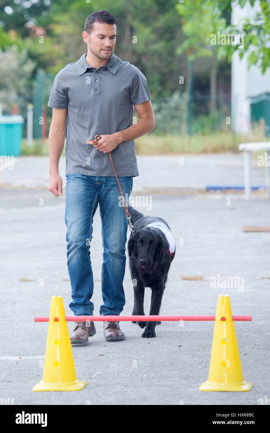 Young man dog trainer park hi-res stock photography and images - Alamy