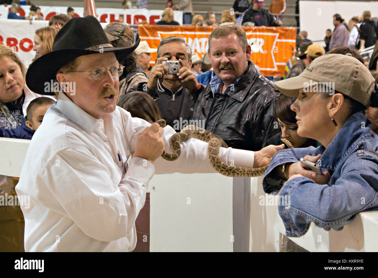 A Jaycee volunteer snake handler shows the crowd a western diamondback ...