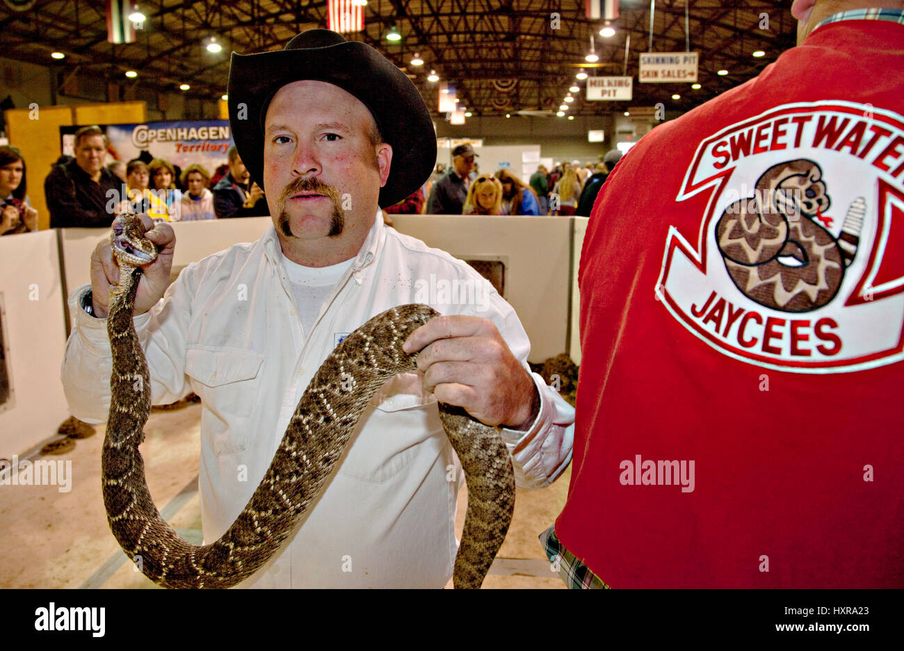 Terry Armstrong, a Jaycee volunteer snake handlers prepare to measure a ...