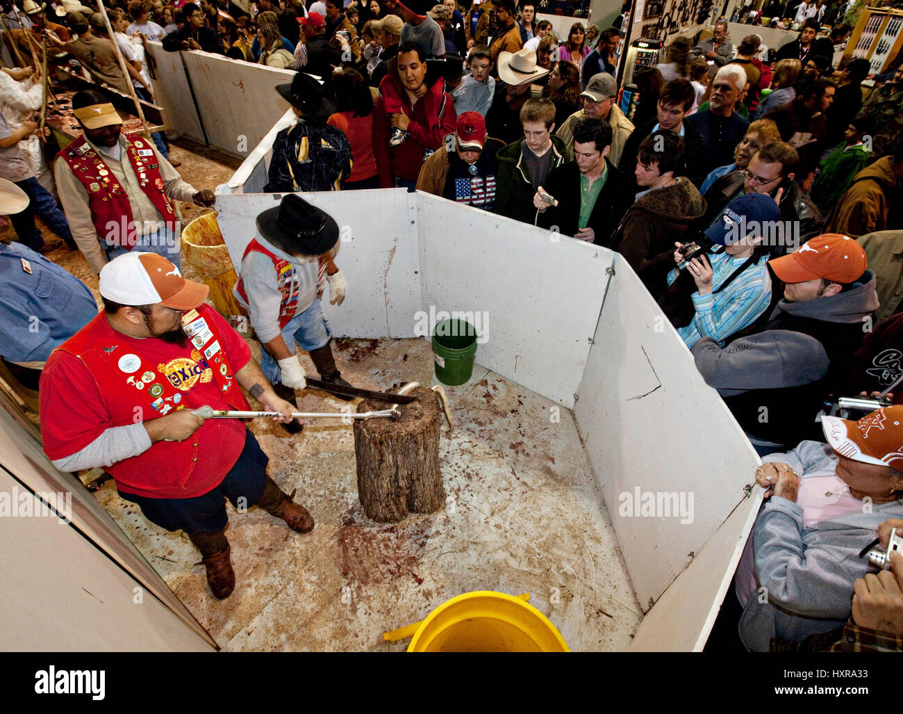 Jaycee volunteer snake handlers chop the head off a western diamondback ...