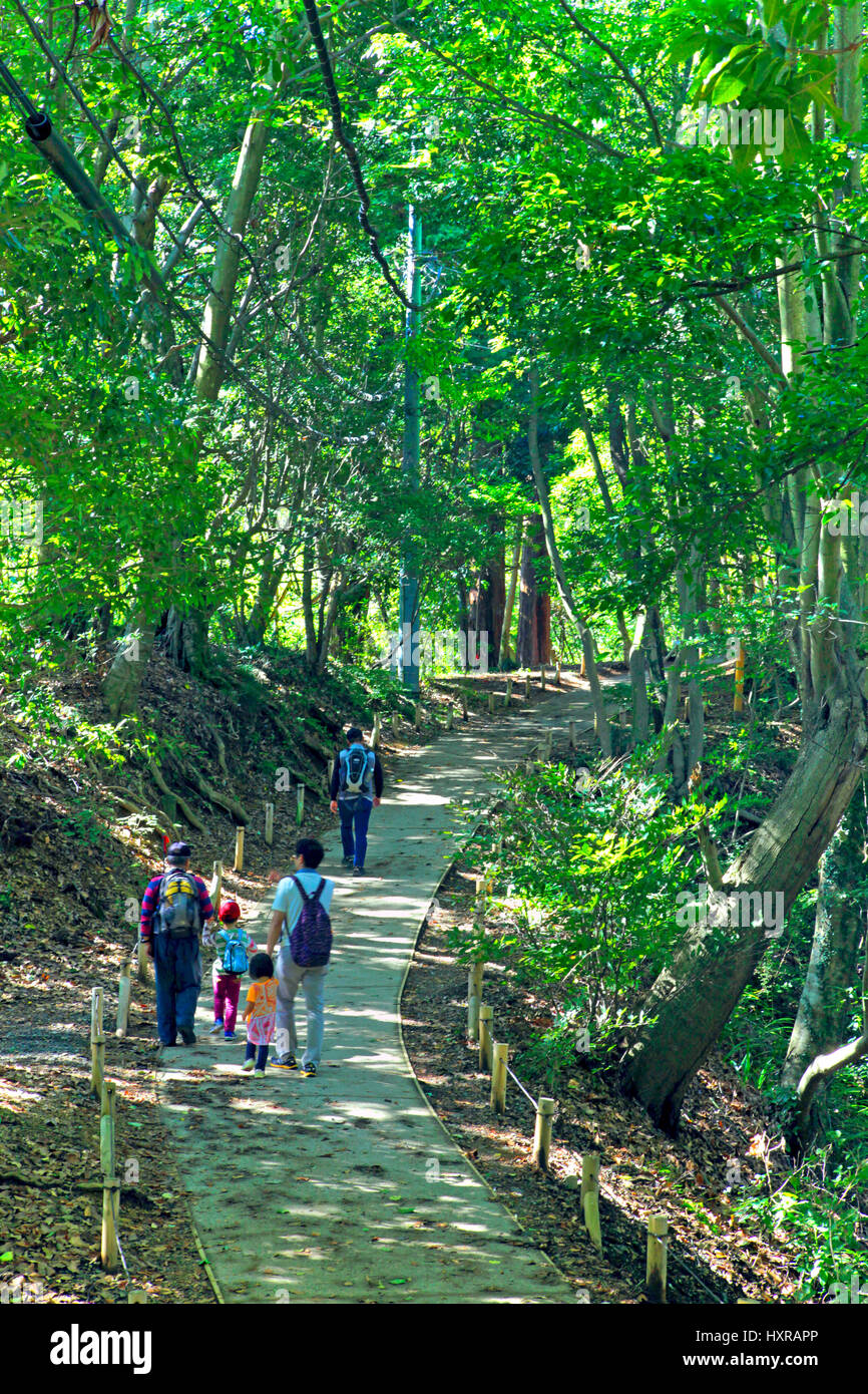 Mount Takao Trail Hachioji Tokyo Japan Stock Photo - Alamy
