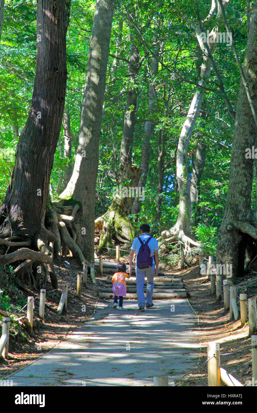 Mount takao forest hi-res stock photography and images - Alamy