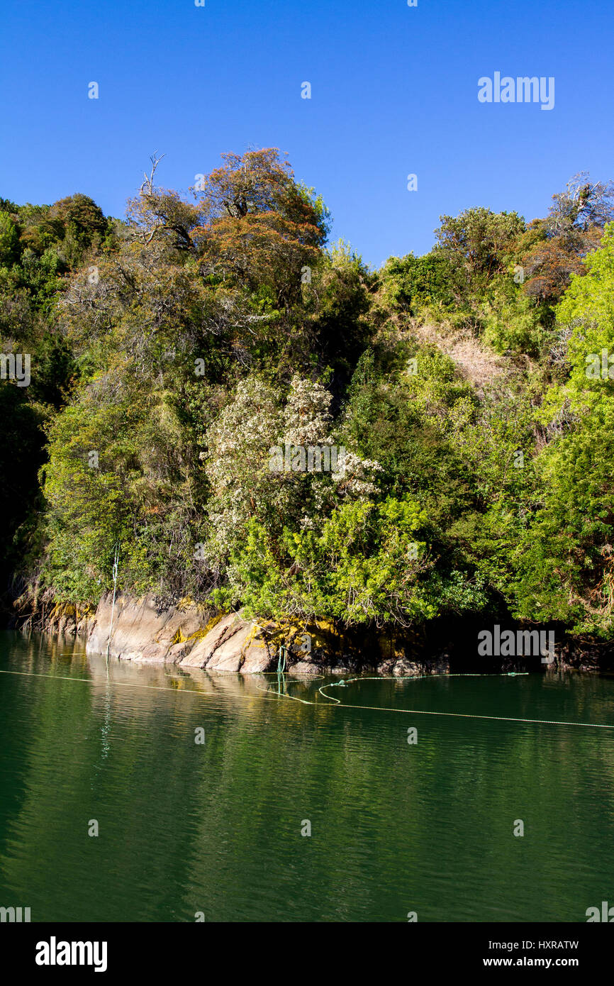 Puerto chacabuco, chile hi-res stock photography and images - Alamy