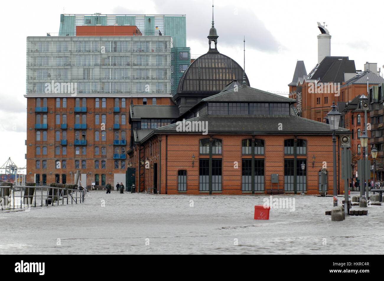 Europe, Germany, Hamburg, hamburger, Altona, fish market, fish auction ...