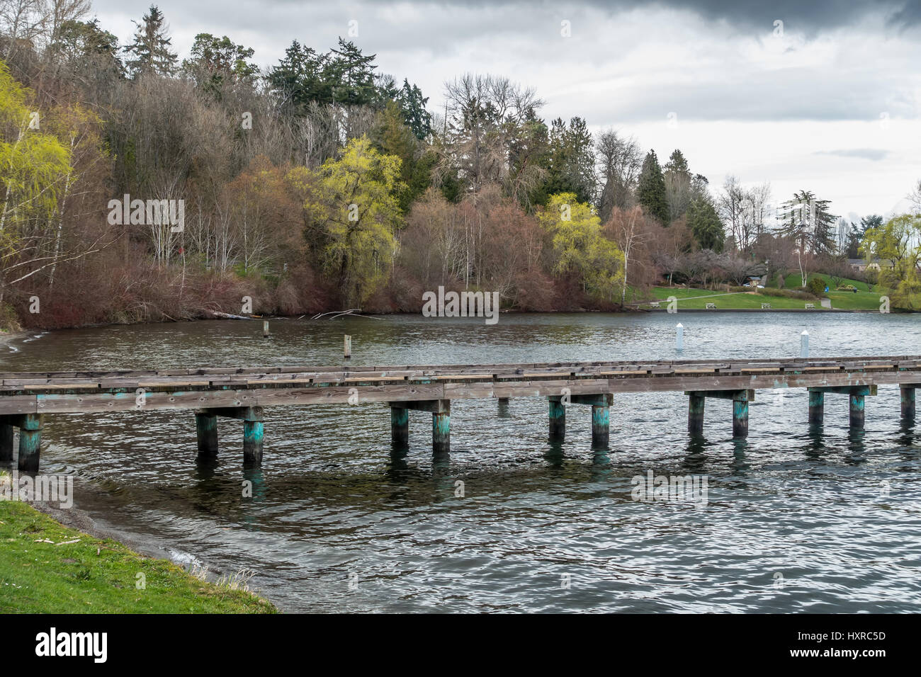 A view of a pier on Lake Washington in Seattle. Trees are in the ...