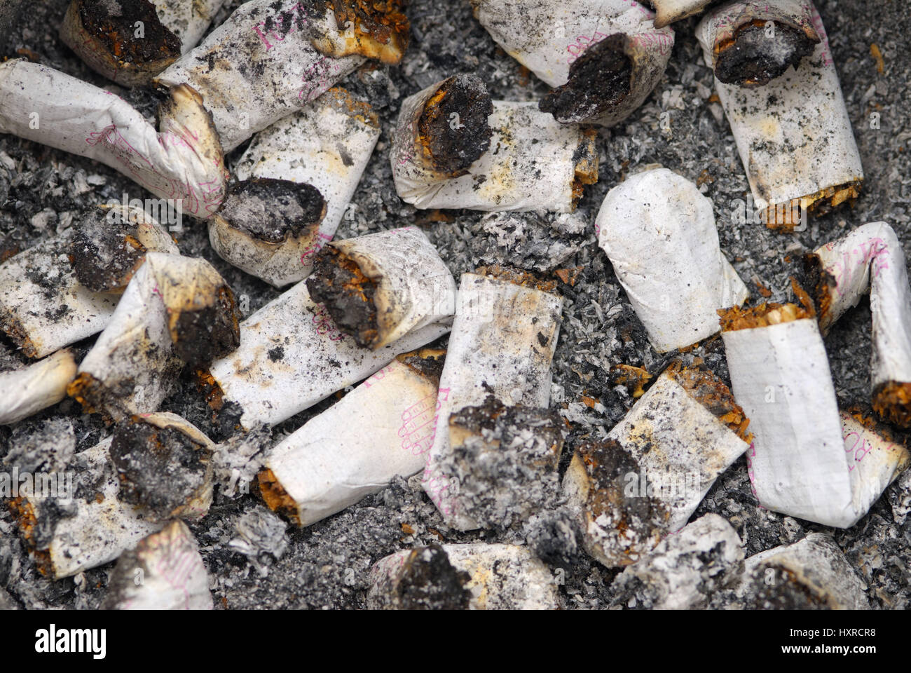 Expressed cigarettes hi-res stock photography and images - Alamy