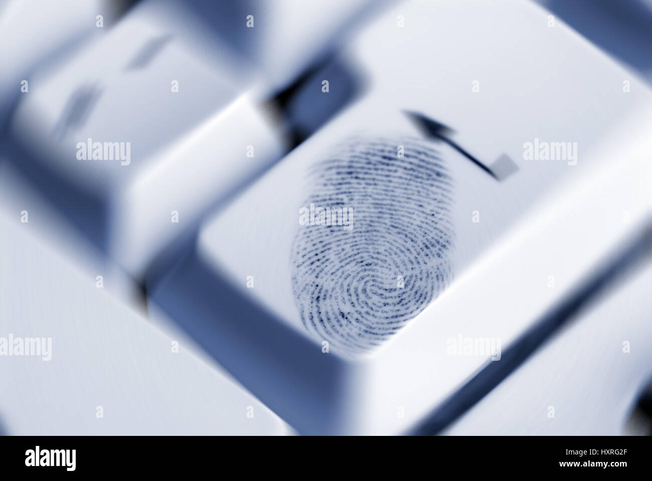 Computer, computer keyboard, keyboard, fingerprint, fingerprints, on ...