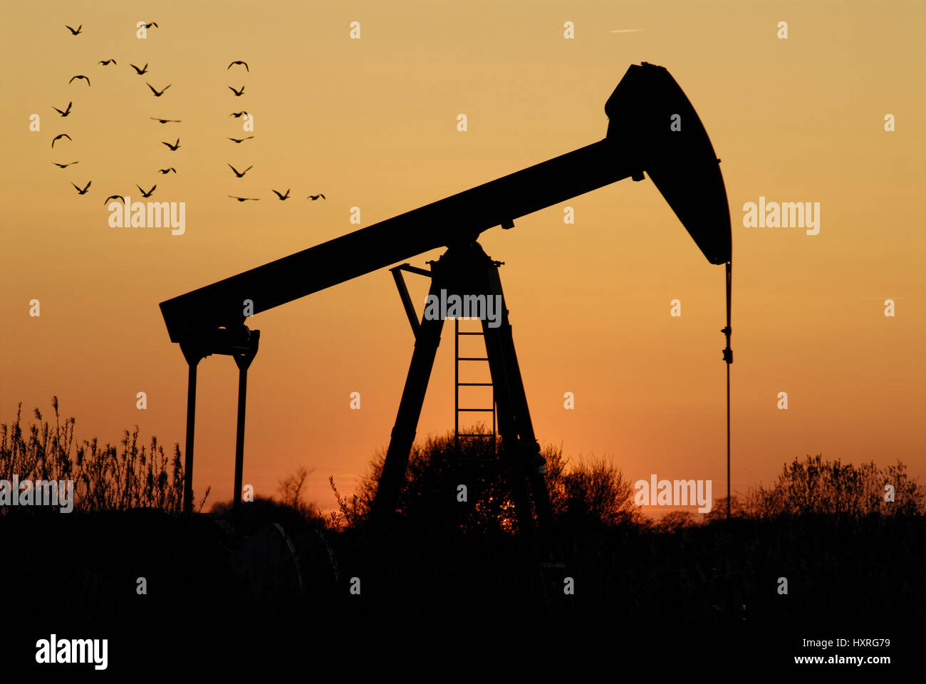 Oil Conveyor Pumps High Resolution Stock Photography and Images - Alamy