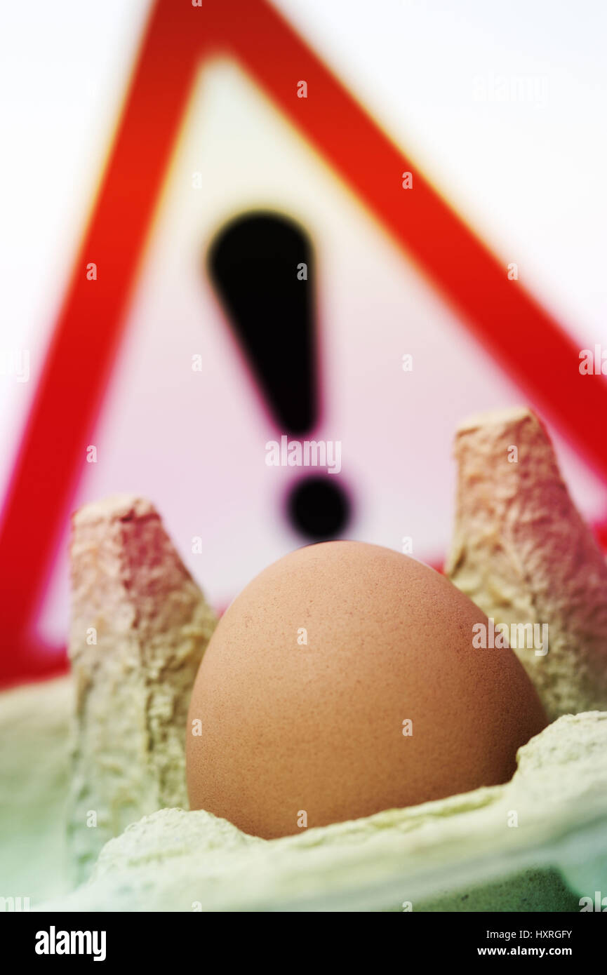 H?hnerei and warning, dioxin load with chicken eggs, Hühnerei und ...