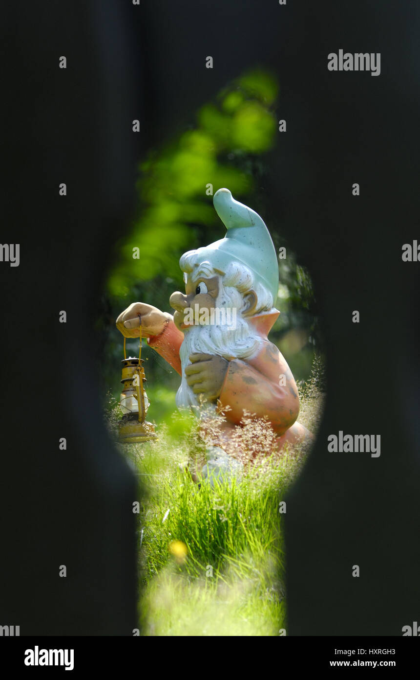Garden gnome, garden gnomes, allotment, allotment association, vomited ...