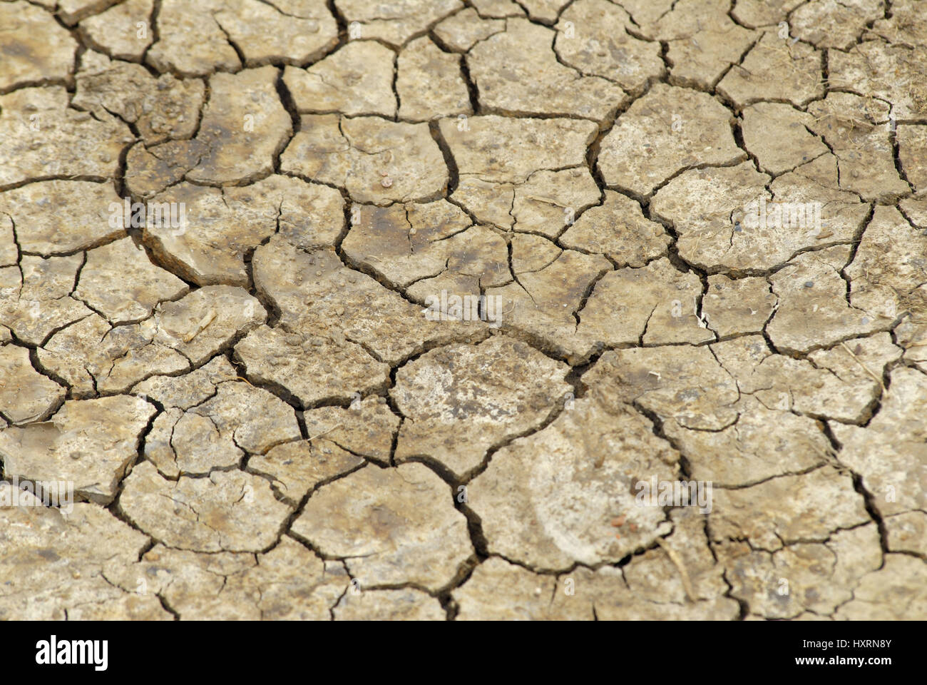 Climate discussion hi-res stock photography and images - Alamy