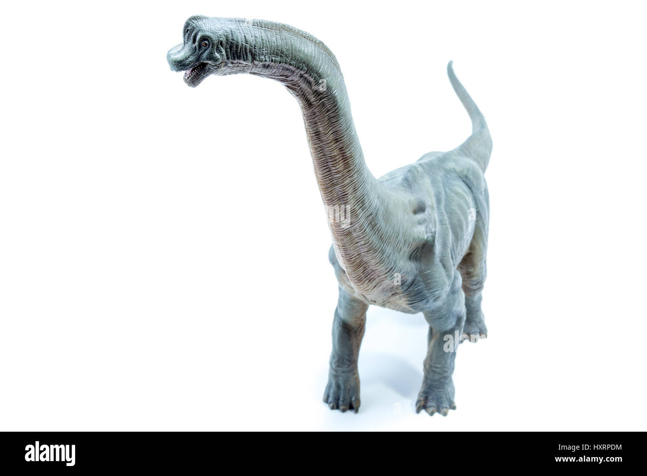 View from the top of Green Brachiosaurus altithorax from the Late ...
