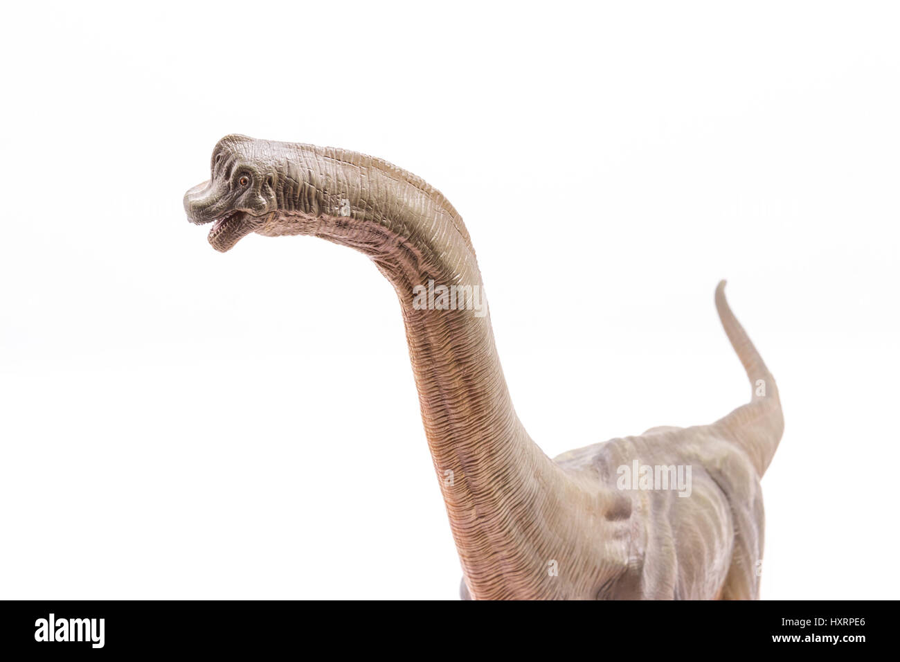 Brachiosaurus history hi-res stock photography and images - Alamy
