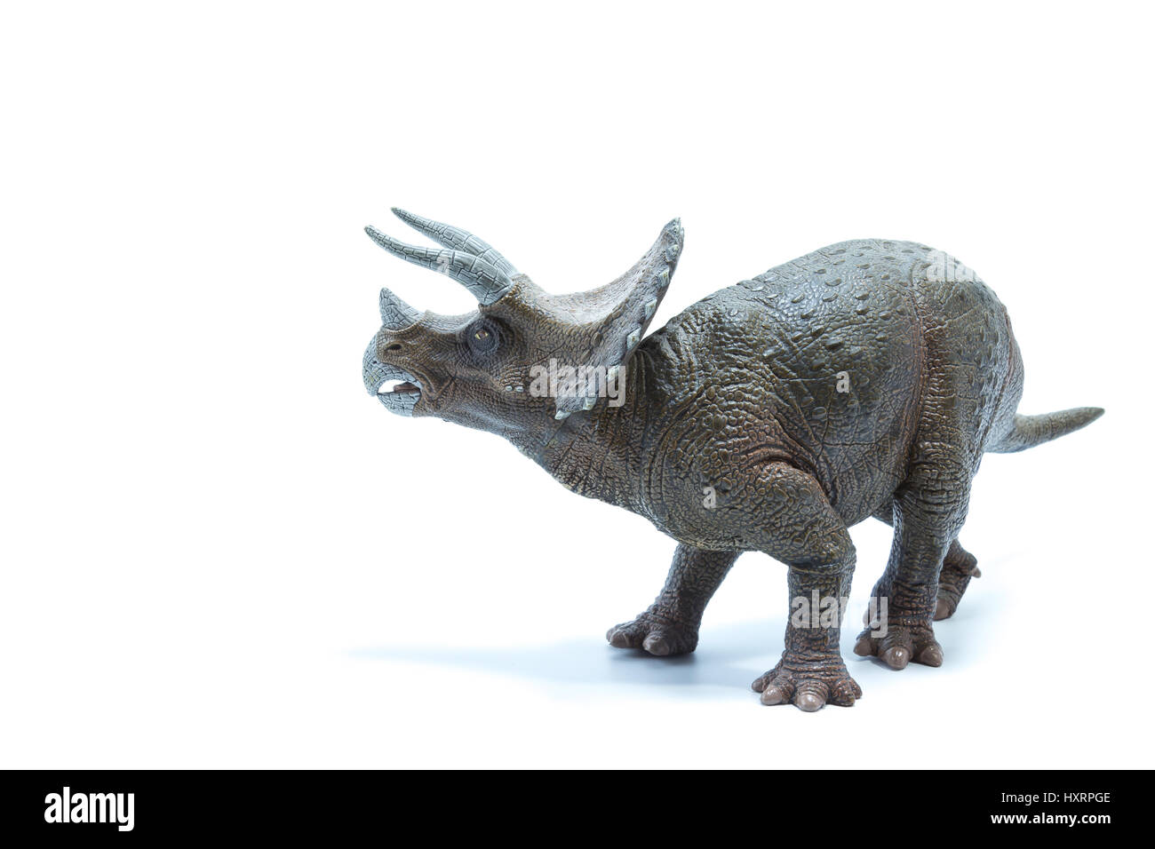 Great Triceratops dinosaurs toy isolated on white background - side ...
