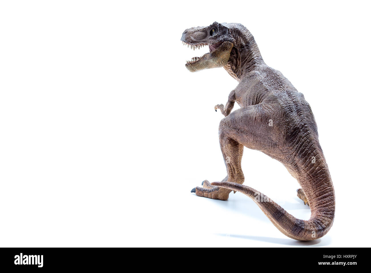 Side view tyrannosaurus rex dinosaur hi-res stock photography and ...