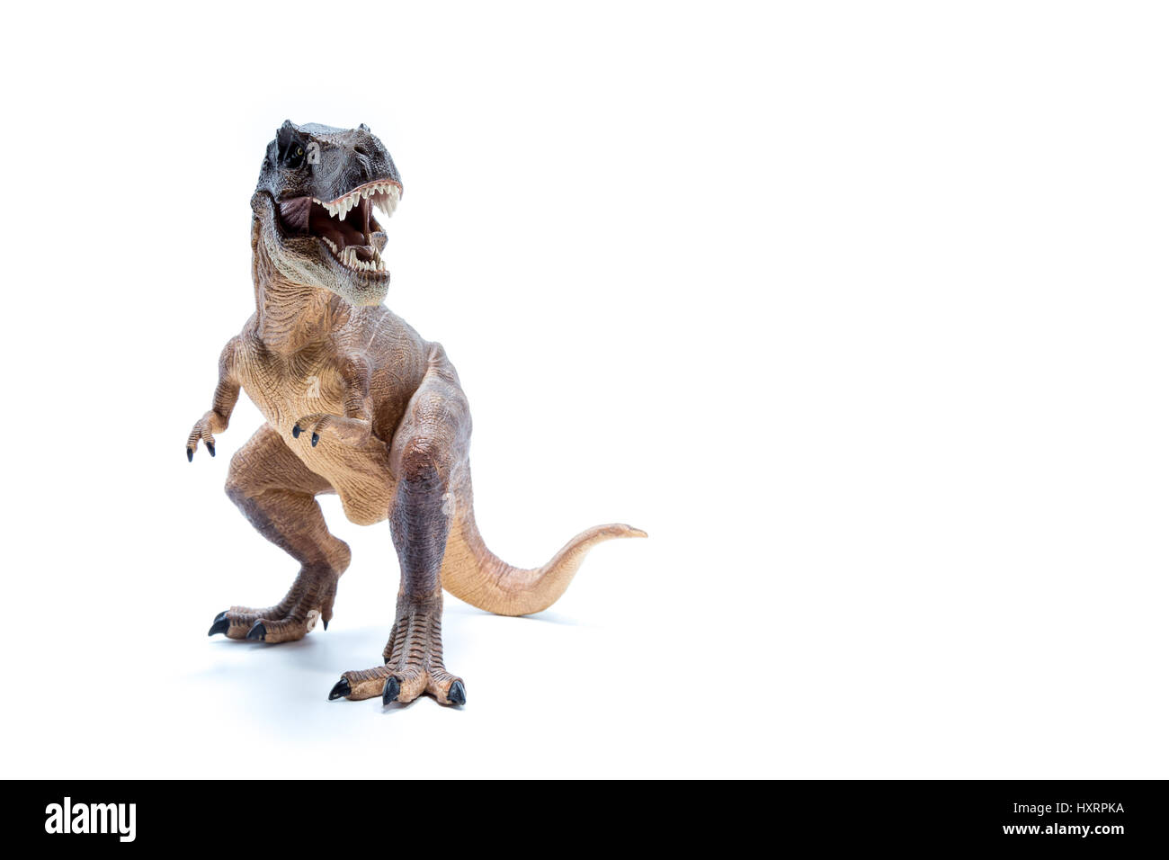 Brown Dinosaur Tyrannosaurus Rex front view - white background Stock ...