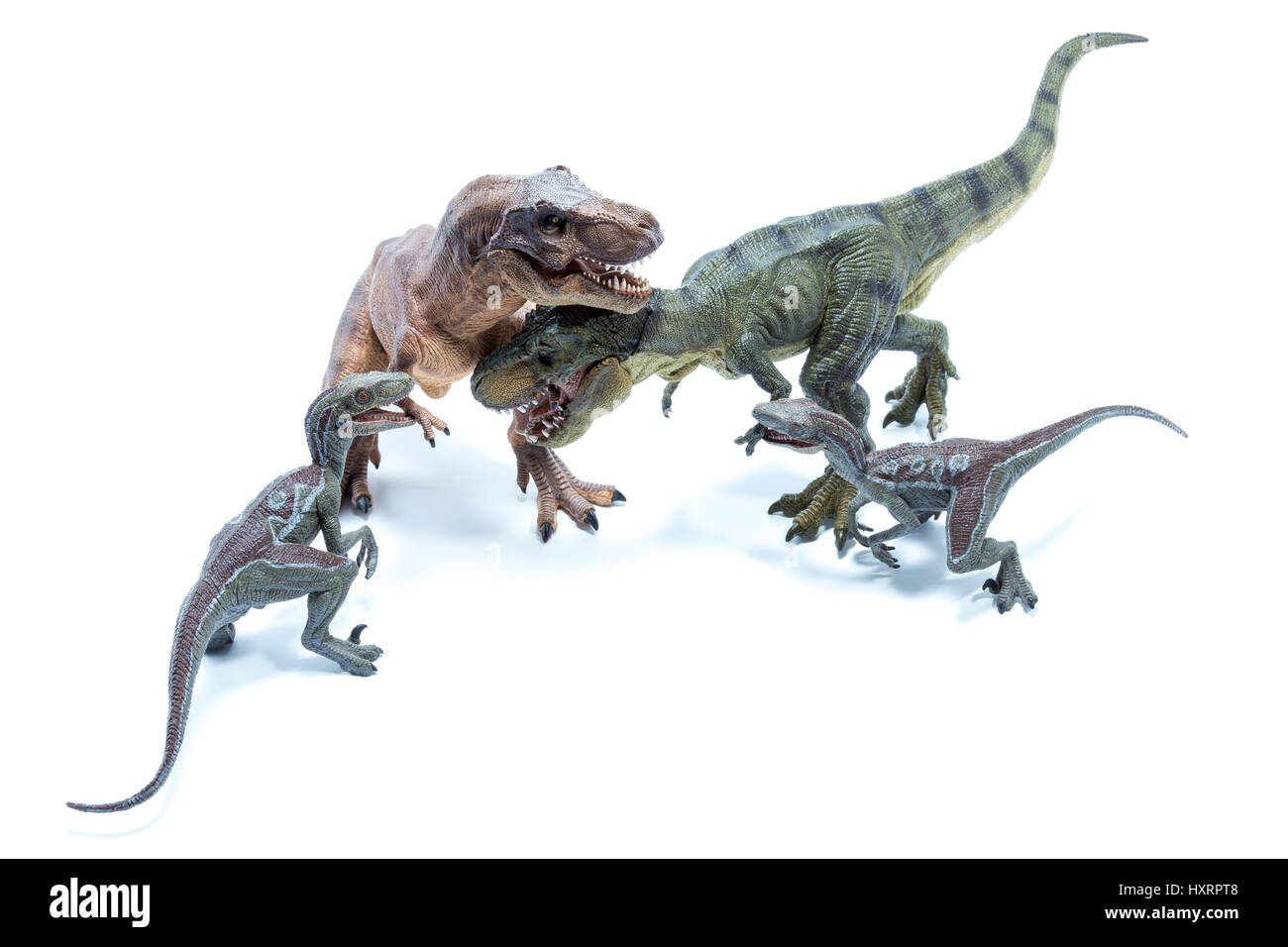 Two Dinosaur Tyrannosaurus Rex and two Velociraptors Raptor fighting ...
