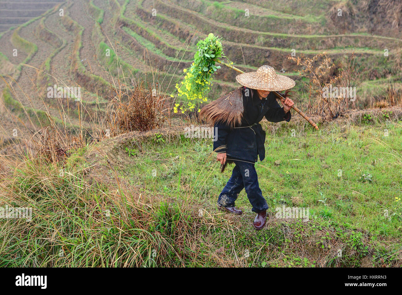 Longji rice terraces dazhai village hi-res stock photography and images ...
