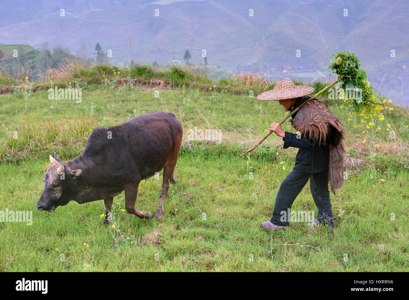 Yao Village Dazhai, Longsheng, Guangxi Province, China - April 3, 2010 ...